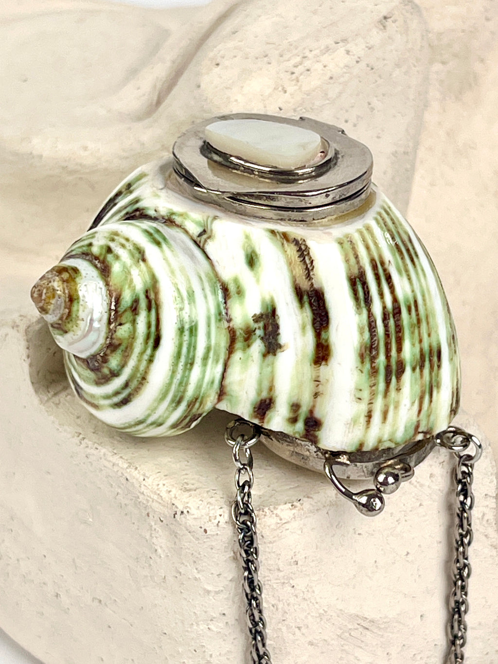Antique Turbo Shell Snuff Box Necklace – Dovetail