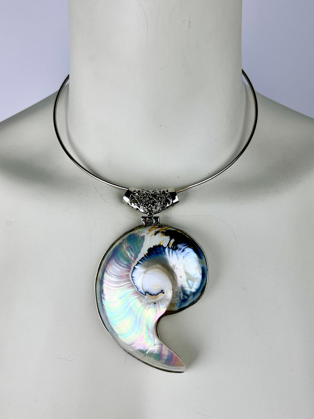 Vintage Nautilus Shell Necklace – Dovetail